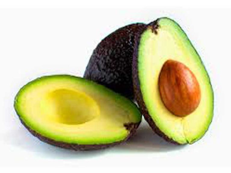 Aguacate Hass - Viveros Loeva